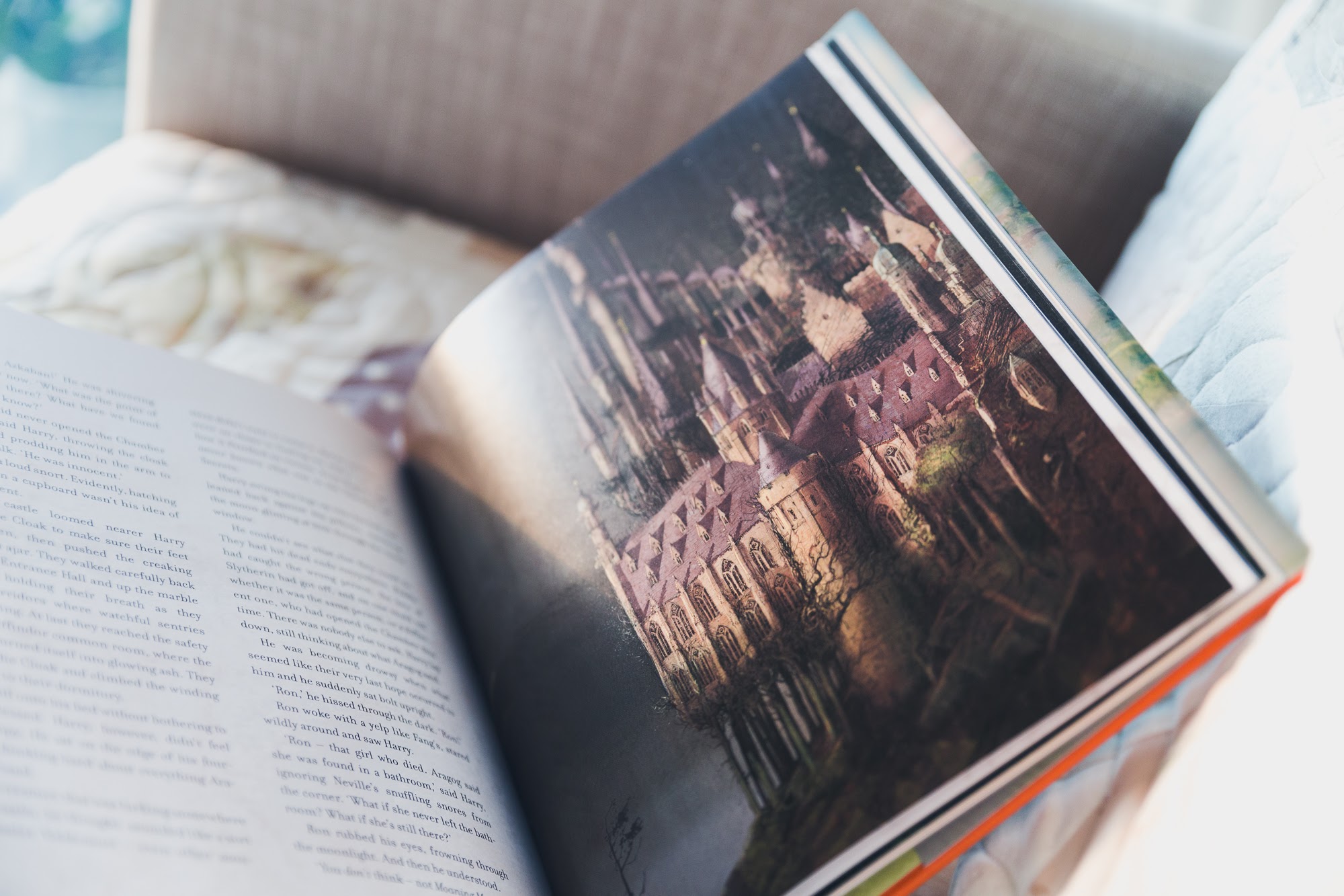 Reading Gives Us Someplace To Go When We Have To Stay Where We Are ...